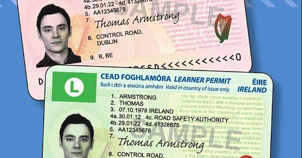 Gardaí warn motorists about buying fake driving licences Gardaí warn motorists about buying fake driving licences