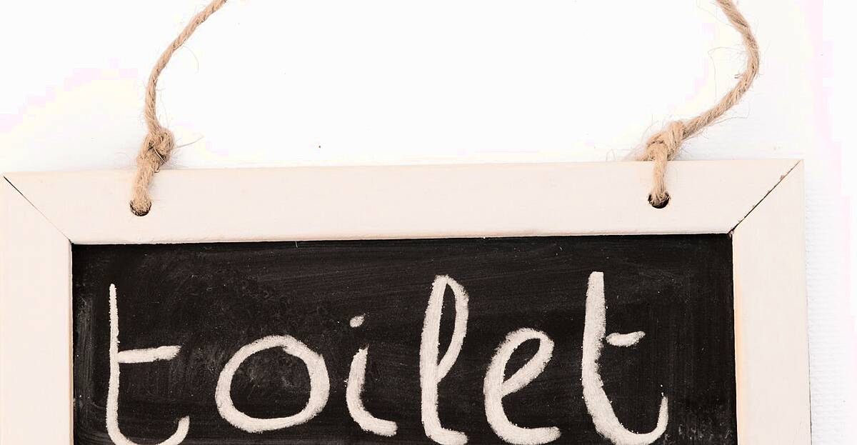 What Is Mean By Toileting at Donald Hammond blog What Is Mean By Toileting at Donald Hammond blog