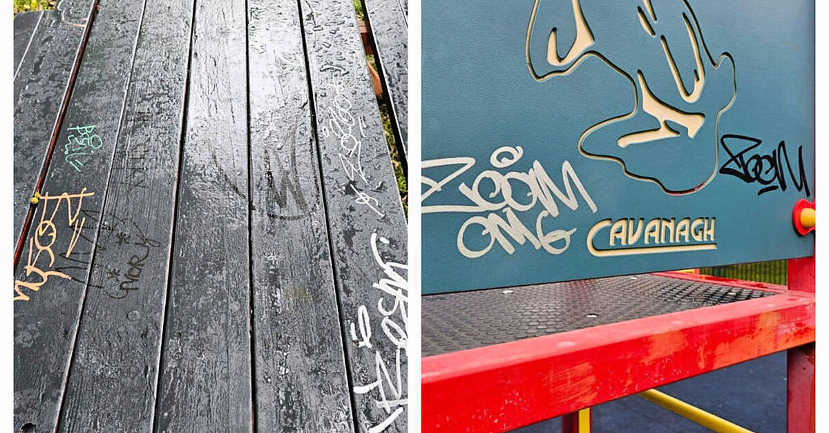Gardai issue appeal over criminal damage in Cavan | NorthernSound Gardai issue appeal over criminal damage in Cavan | NorthernSound
