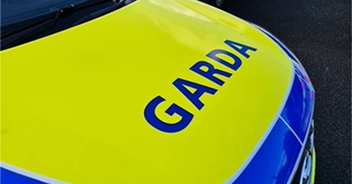 Local Gardaí Appeal For Information In Relation To Break Ins