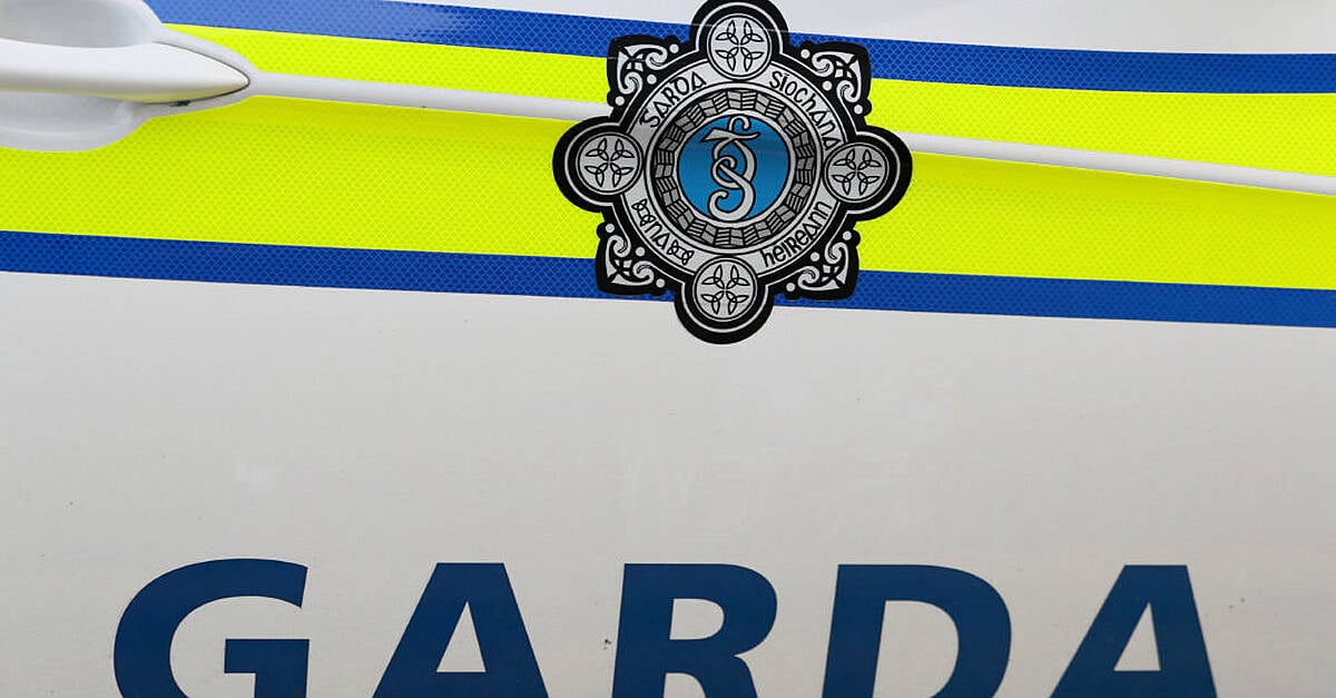 Gardaí appeal for witnesses of fatal road traffic collision in County ... Gardaí appeal for witnesses of fatal road traffic collision in County ...
