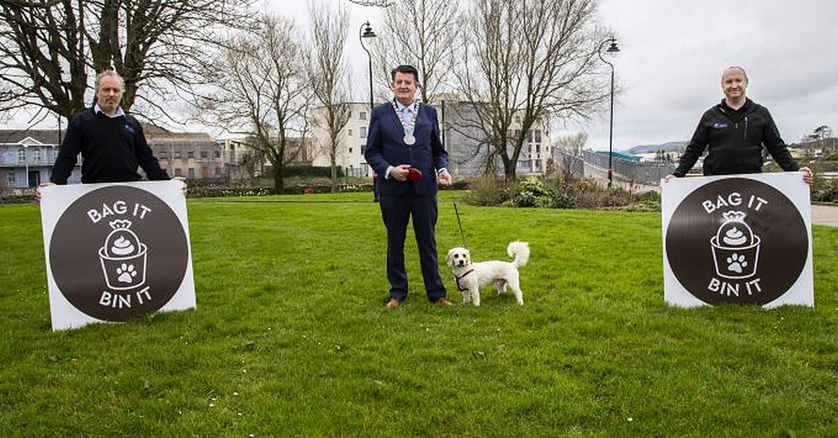 'Bag it and Bin it' anti-dog fouling campaign launched in Waterford ... 'Bag it and Bin it' anti-dog fouling campaign launched in Waterford ...